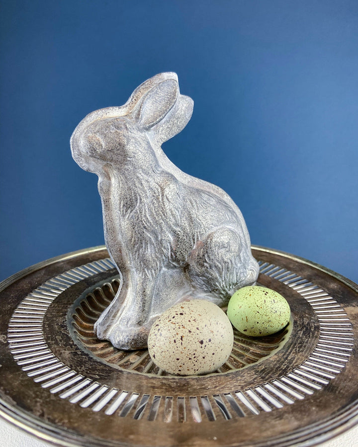 Bunny Rabbits & Easter – Anything Discovered