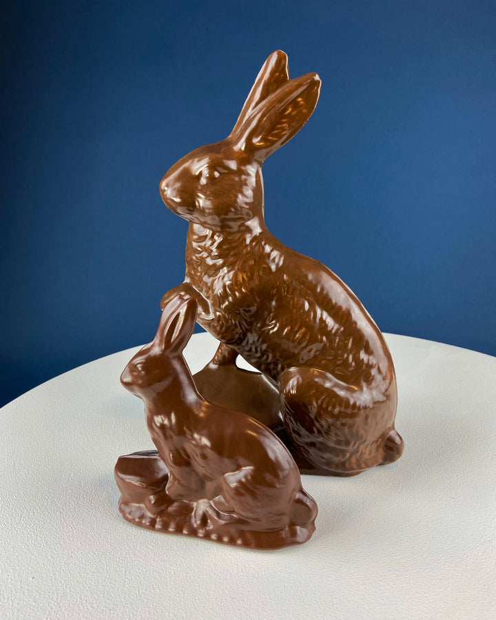 Bunny Rabbits & Easter – Anything Discovered